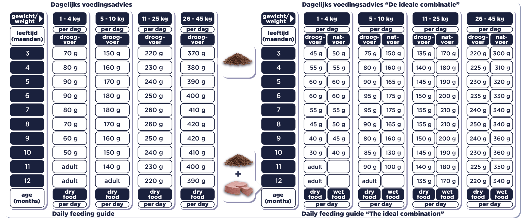 Hoeveel en hoe vaak moet je een puppy voeren?