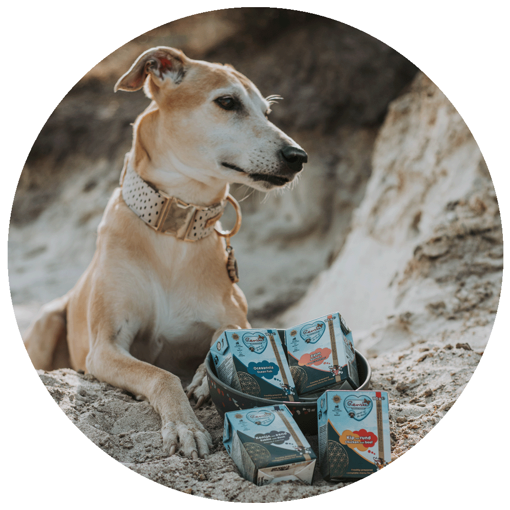 Renske Multi box Tex - 30x185g