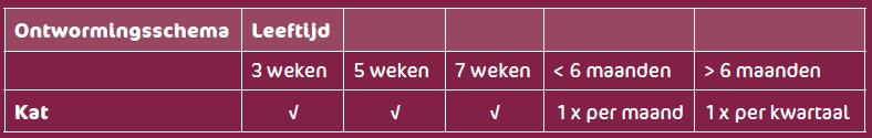Hoe vaak moet je je kat ontwormen? Een handig ontwormingsschema