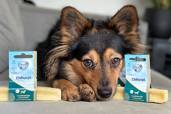 Ontdek alle producten hondenvoeding van Renske Natuurlijke Diervoeding